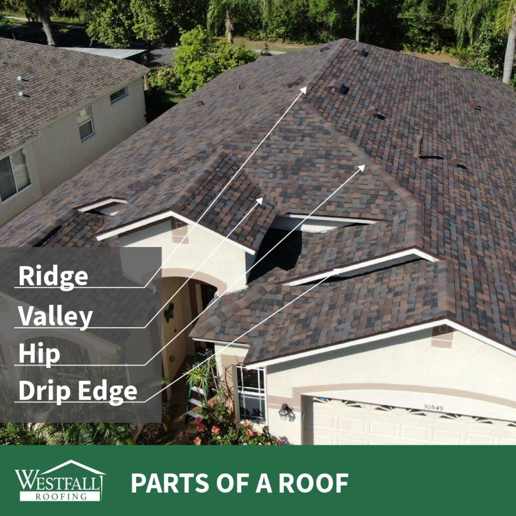 What You Should Know about The Anatomy of a Roof.